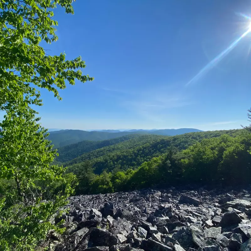 15 Summer Experiences in Charlottesville - Charlottesville Guide