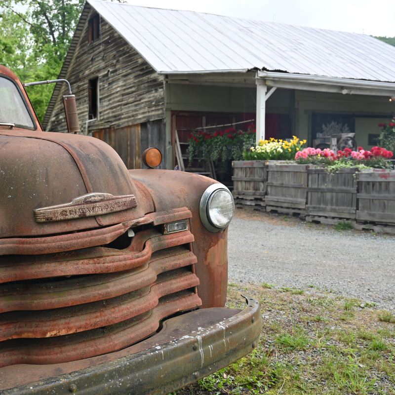 17 Summer Experiences in Charlottesville - Charlottesville Guide